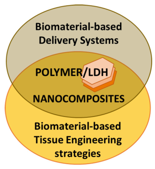 Biomaterials Based on Organic Polymers and Layered Double Hydroxides ...