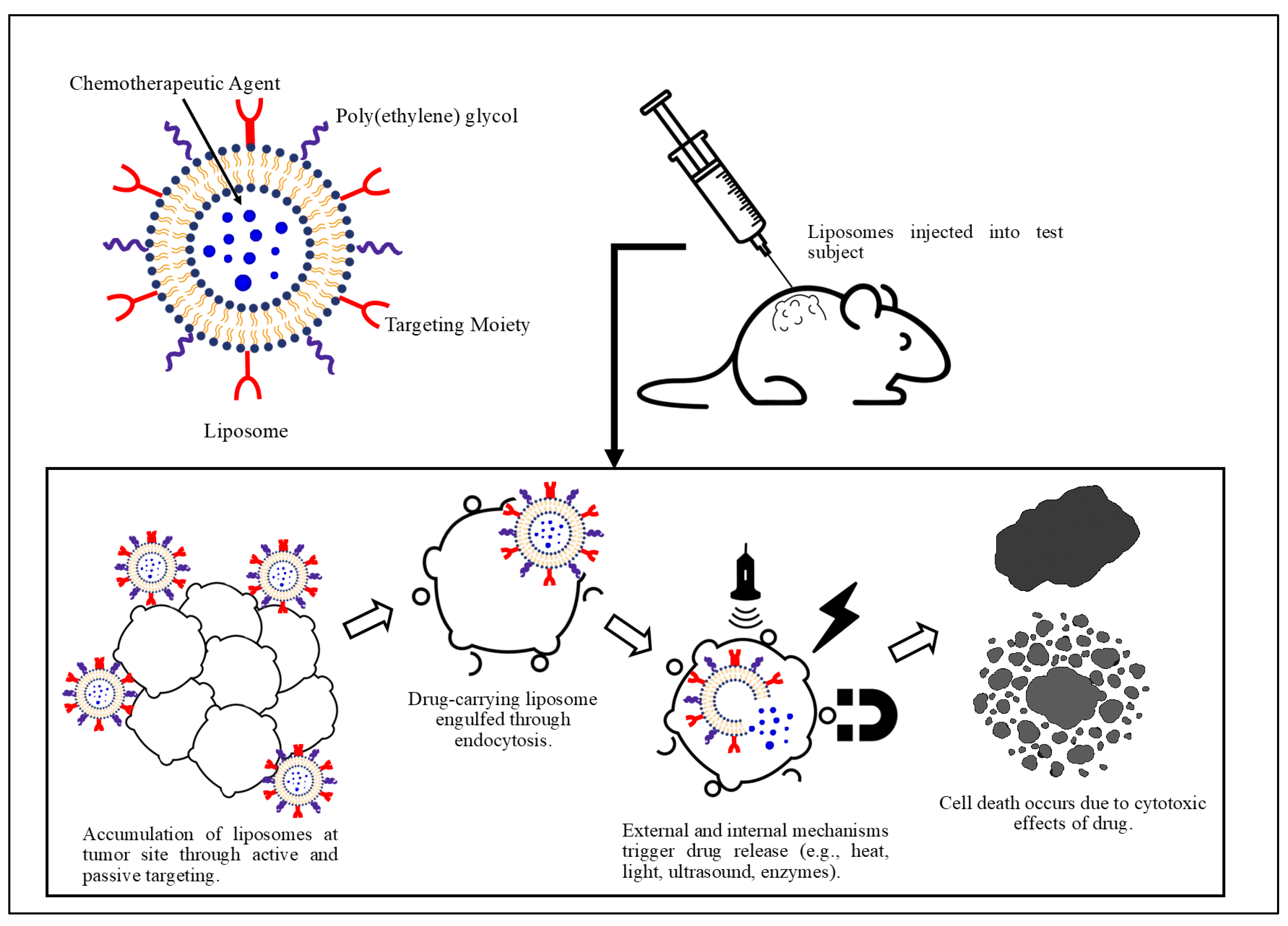 Acoustically-Activated Liposomal Nanocarriers to Mitigate the Side ...