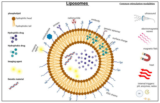 Acoustically-Activated Liposomal Nanocarriers to Mitigate the Side ...