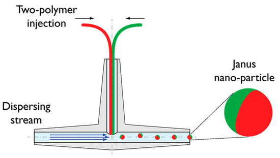 Development of Janus Particles as Potential Drug Delivery Systems for ...