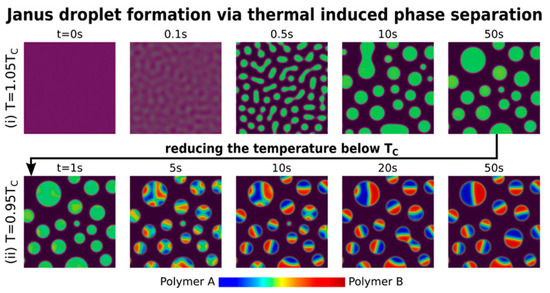 Development of Janus Particles as Potential Drug Delivery Systems for ...