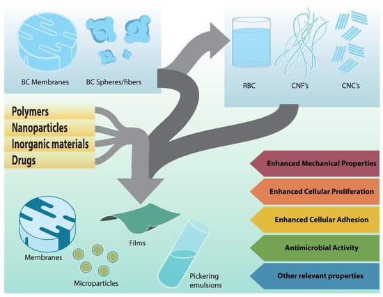 Bacterial Cellulose-Based Materials as Dressings for Wound Healing