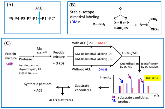 An Efficient Peptidomics Screening for Exogenous Substrates and ...