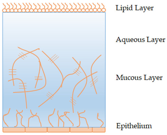 Biopolymers in Mucoadhesive Eye Drops for Treatment of Dry Eye and ...