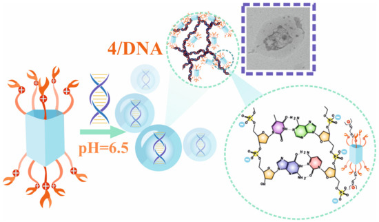 Toward Pathogenic Biofilm Suppressors: Synthesis of Amino Derivatives ...