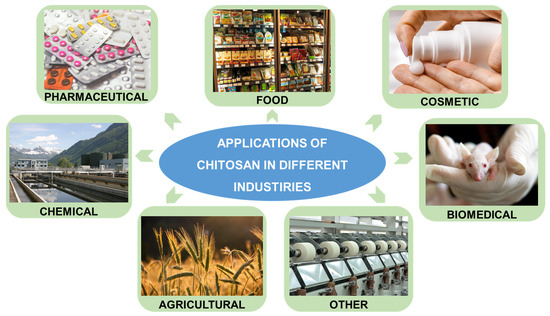 Pharmaceutics | Free Full-Text | Chitosan-Based Nanoparticles with Optimized Parameters for ...