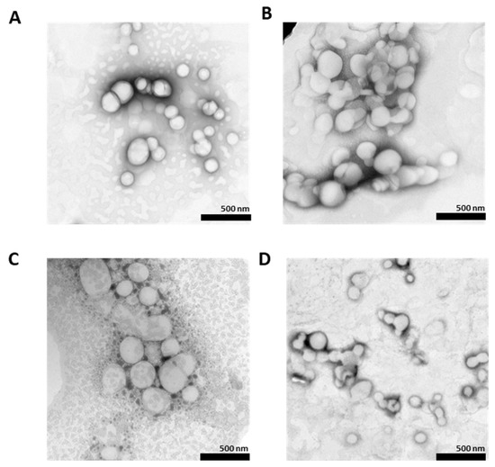 Cannabidiol-Loaded Nanostructured Lipid Carriers (NLCs) for Dermal ...