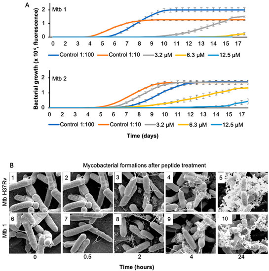 Mechanisms of a Mycobacterium tuberculosis Active Peptide