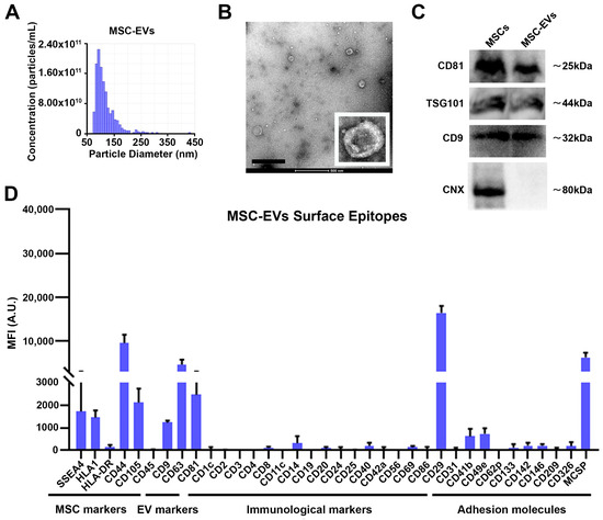 Pharmaceutics | Free Full-Text | Biodistribution of Intratracheal, Intranasal, and Intravenous ...