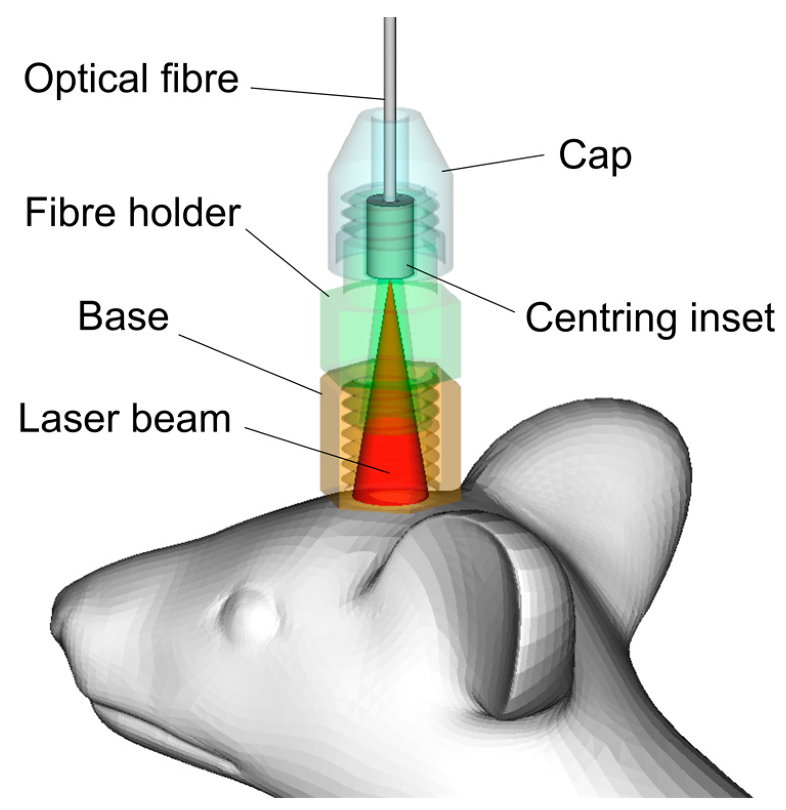Pharmaceutics | Free Full-Text | Low-Level Laser Treatment Induces the ...