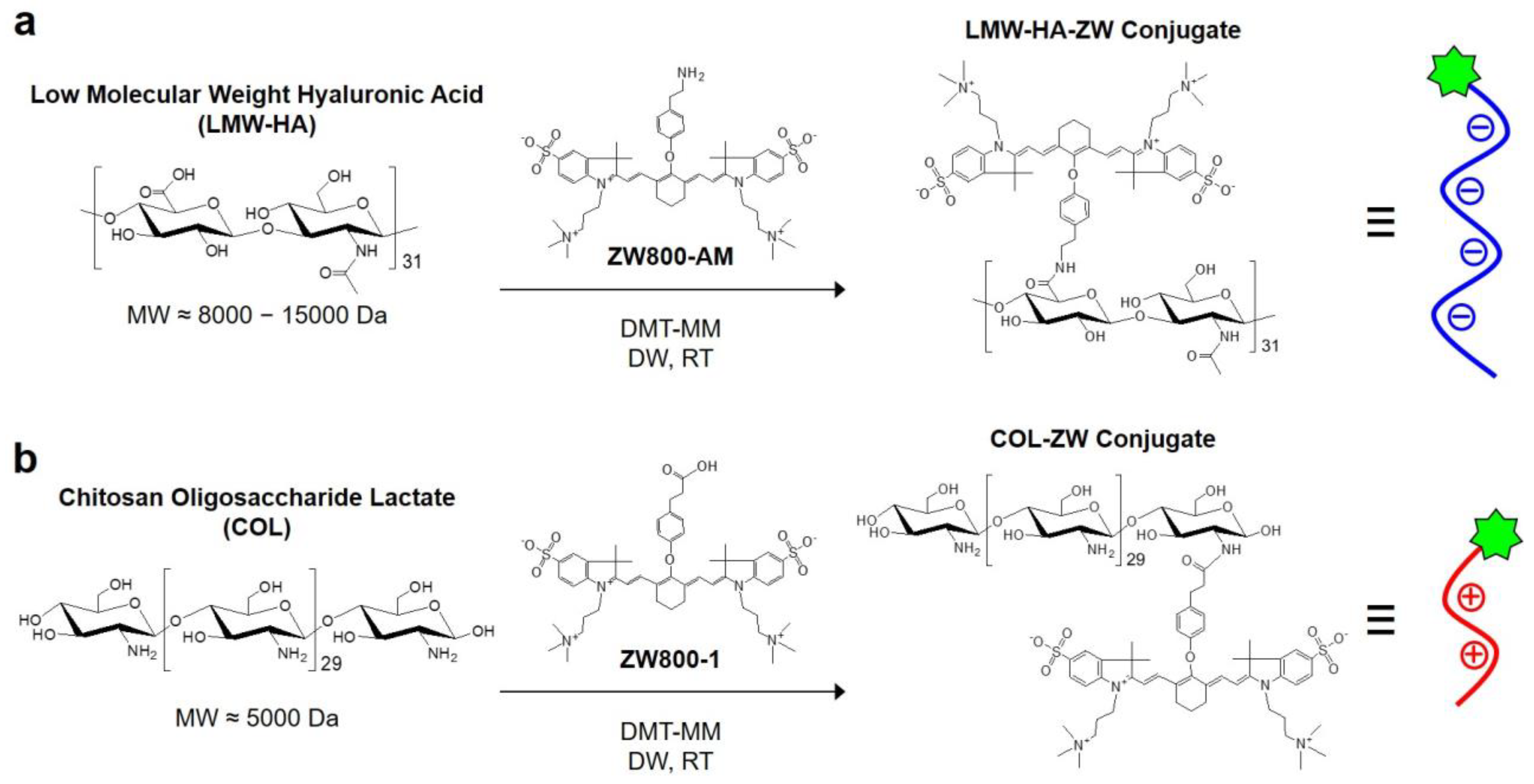 Enhanced Tumor Accumulation of Low-Molecular-Weight Hyaluronic Acid ...