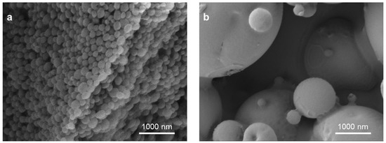 Pharmaceutics | Free Full-Text | PLGA Particles in Immunotherapy
