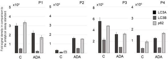HS 3D-SeboSkin Model Enables the Preclinical Exploration of Therapeutic ...