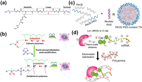 Nanobiotechnology-Enabled mRNA Stabilization