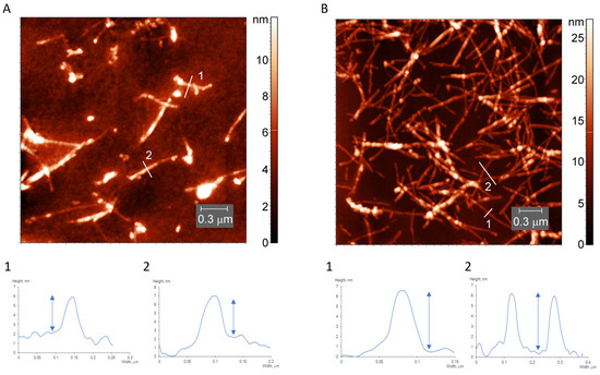 The Ability of Some Polysaccharides to Disaggregate Lysozyme Amyloid ...