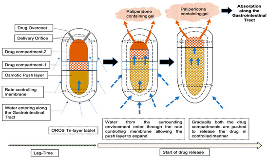 Leveraging Physiologically Based Modelling to Provide Insights on the ...