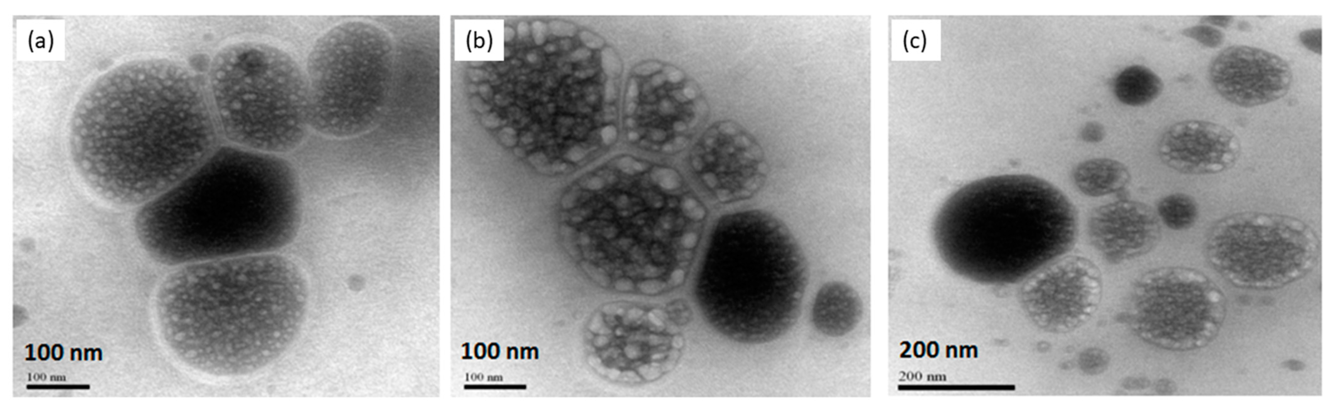 Pharmaceutics | Free Full-Text | Conventional and PEGylated Liposomes ...