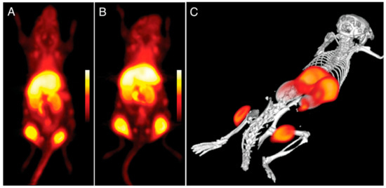 Bioimaging Probes Based on Magneto-Fluorescent Nanoparticles