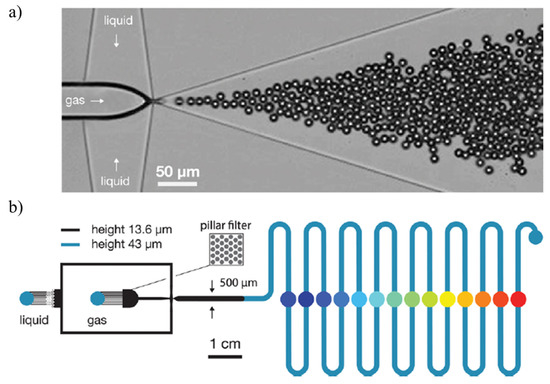 Microbubble Delivery Platform for Ultrasound-Mediated Therapy in Brain ...