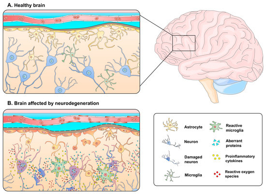 Current Advances of Plant-Based Vaccines for Neurodegenerative Diseases