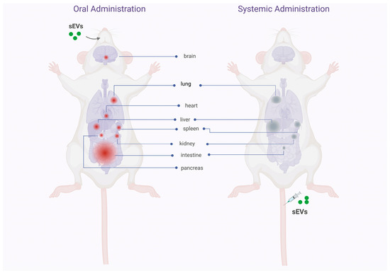 Oral Administration as a Potential Alternative for the Delivery of ...