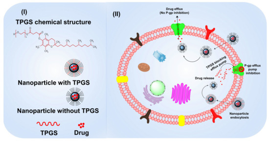 Pharmaceutics | Free Full-Text | Vitamin E TPGS-Based Nanomedicine, Nanotheranostics, and ...