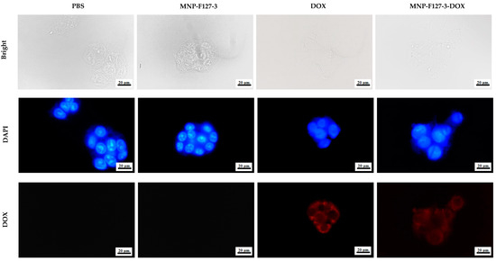 Synthesis and Characterization of Supermagnetic Nanocomposites Coated ...