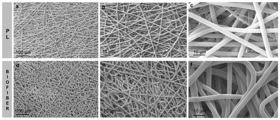 Pharmaceutics | Free Full-Text | Electrospun Naringin-Loaded Fibers for ...