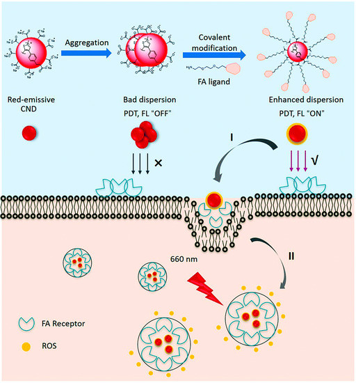 Recent Advances of Photoactive Near-Infrared Carbon Dots in Cancer ...