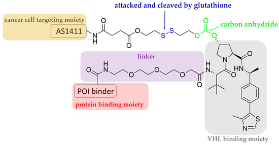 Current Status of Oligonucleotide-Based Protein Degraders