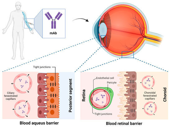 Perspectives of Therapeutic Drug Monitoring of Biological Agents in Non ...