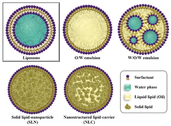 Recent Progress of Lipid Nanoparticles-Based Lipophilic Drug Delivery ...