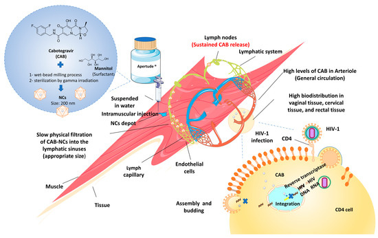 Approved Nanomedicine against Diseases