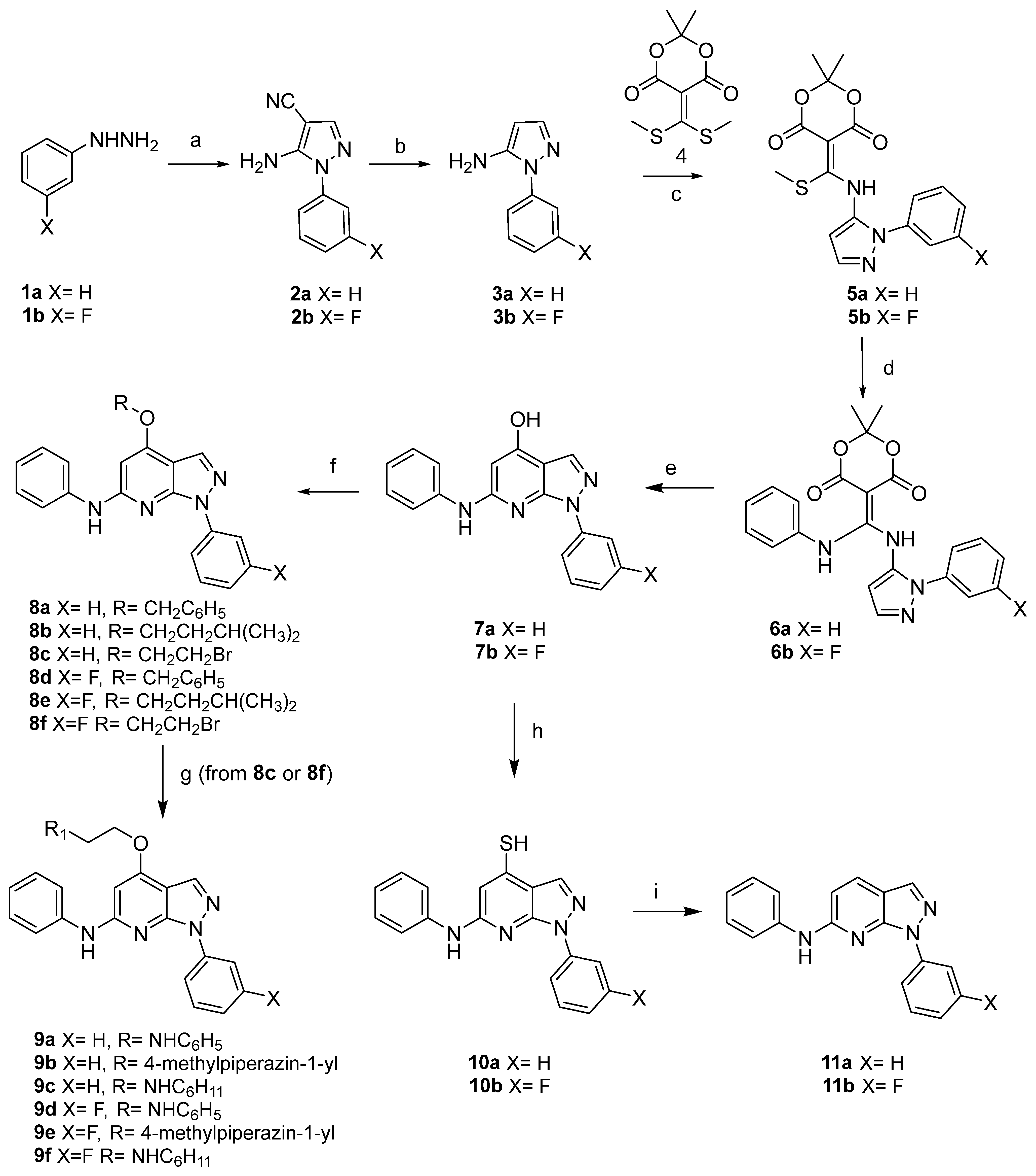 Pharmaceutics | Free Full-Text | Discovery of New 1,4,6-Trisubstituted ...