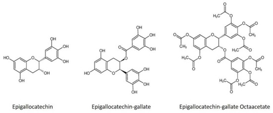 The Importance of Epigallocatechin as a Scaffold for Drug Development ...