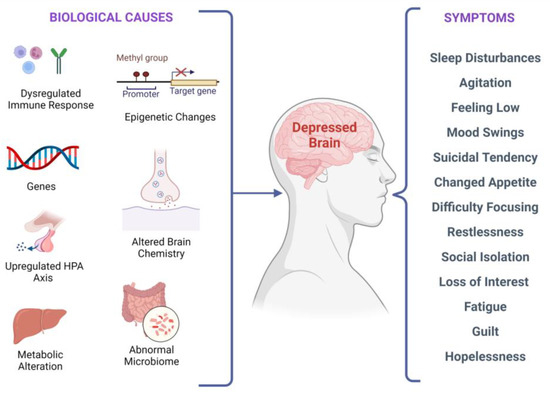 Plausible Role of Stem Cell Types for Treating and Understanding the ...