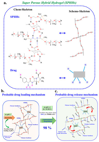 pH-Responsive Super-Porous Hybrid Hydrogels for Gastroretentive ...