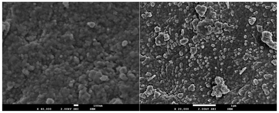 Composite PLGA–Nanobioceramic Coating on Moxifloxacin-Loaded Akermanite ...