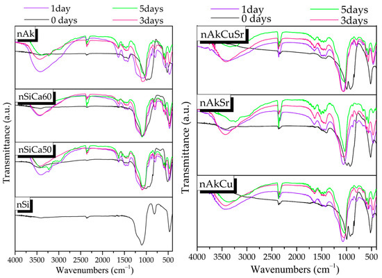 Composite PLGA–Nanobioceramic Coating on Moxifloxacin-Loaded Akermanite ...