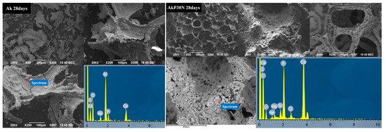 Composite PLGA–Nanobioceramic Coating on Moxifloxacin-Loaded Akermanite ...