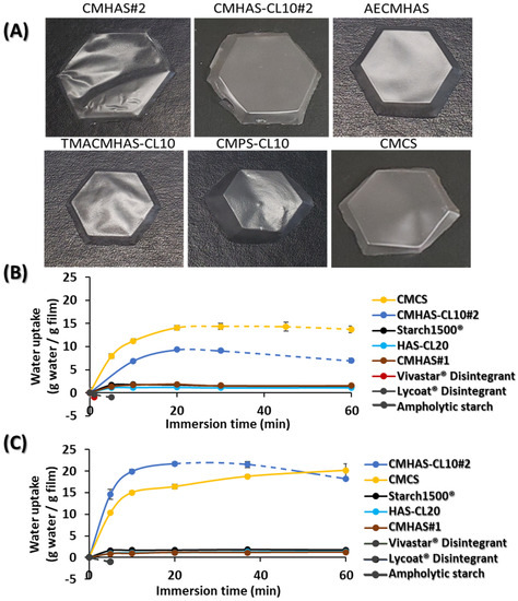 Anionic and Ampholytic High-Amylose Starch Derivatives as Excipients ...