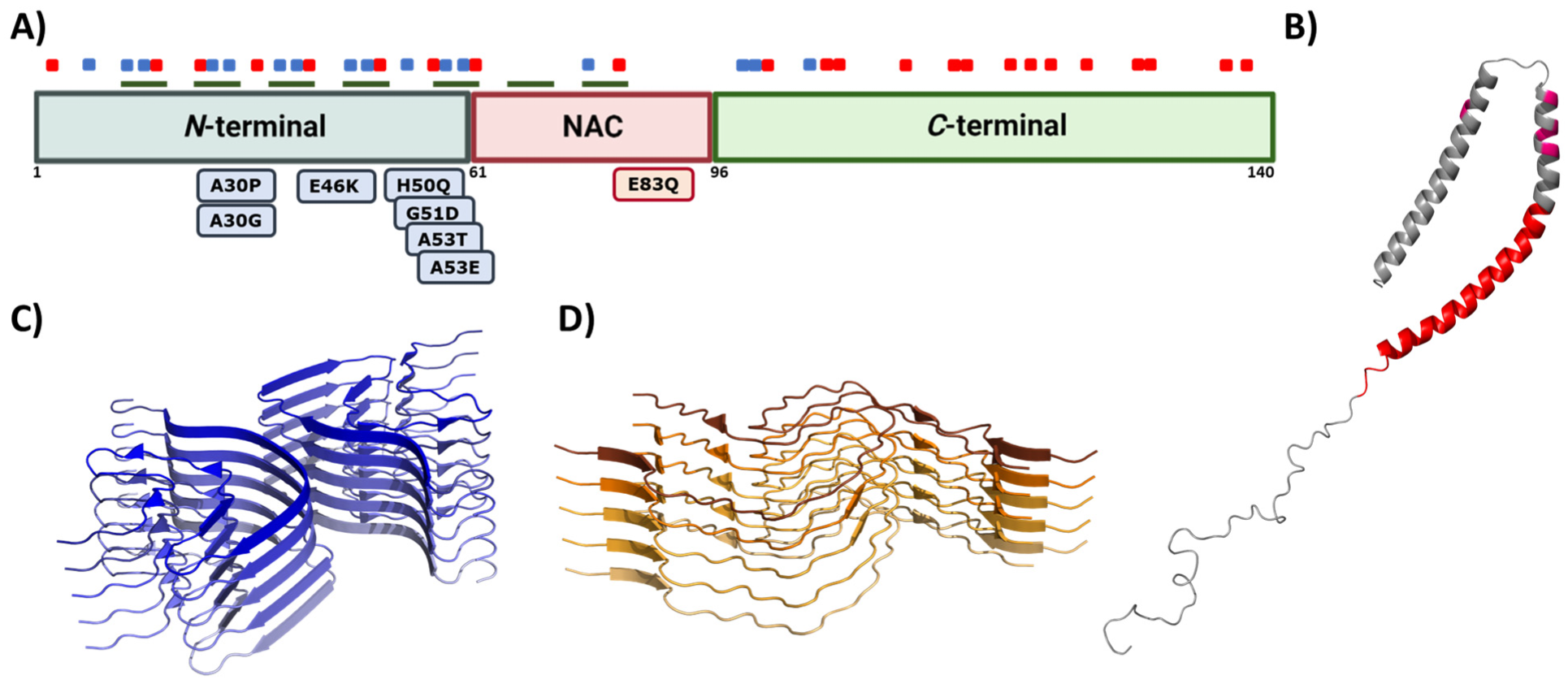 Development of Small Molecules Targeting α-Synuclein Aggregation: A ...