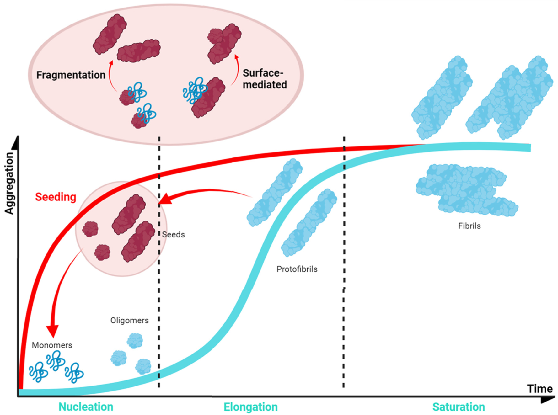 Development of Small Molecules Targeting α-Synuclein Aggregation: A ...