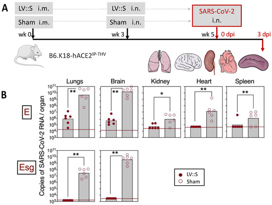 Lentiviral Vectors as a Vaccine Platform against Infectious Diseases