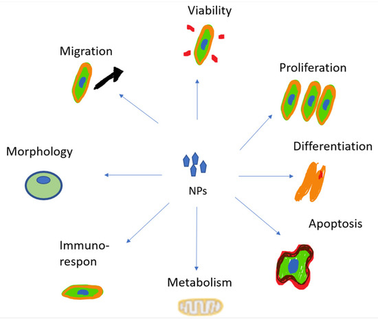 Chitosan-Based Nano-Smart Drug Delivery System in Breast Cancer Therapy