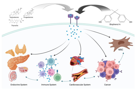 Current Evidence on Bisphenol A Exposure and the Molecular Mechanism ...