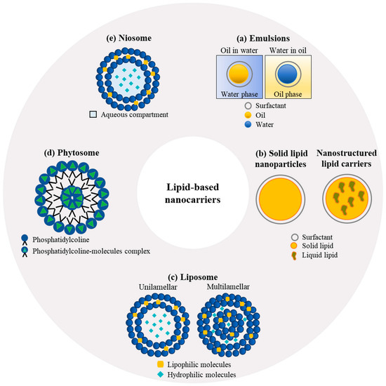 Pharmaceutics | Free Full-Text | Biopolymer- and Lipid-Based Carriers for the Delivery of Plant ...