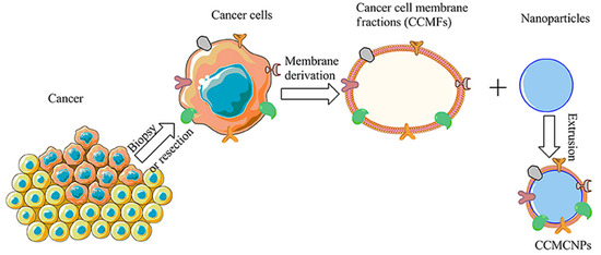 Utilization of Functionalized Metal–Organic Framework Nanoparticle as ...