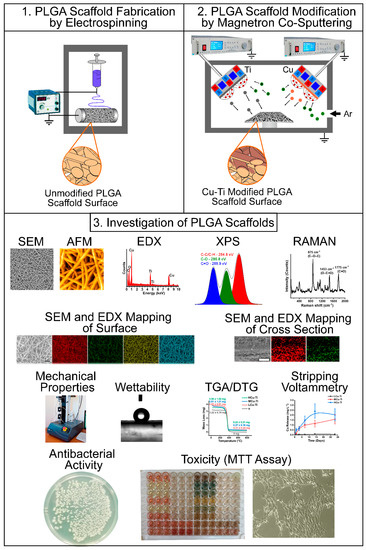 Antibacterial Activity and Cytocompatibility of Electrospun PLGA ...