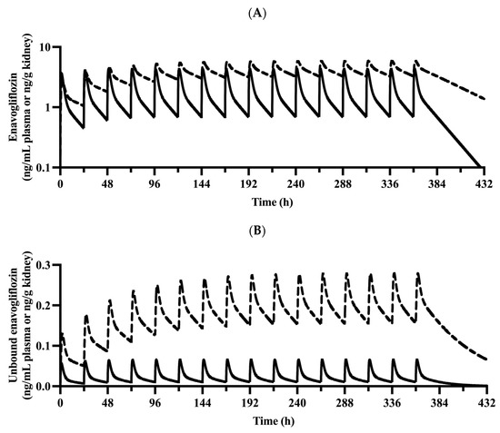 Pharmaceutics | Free Full-Text | Physiologically Based Pharmacokinetic ...